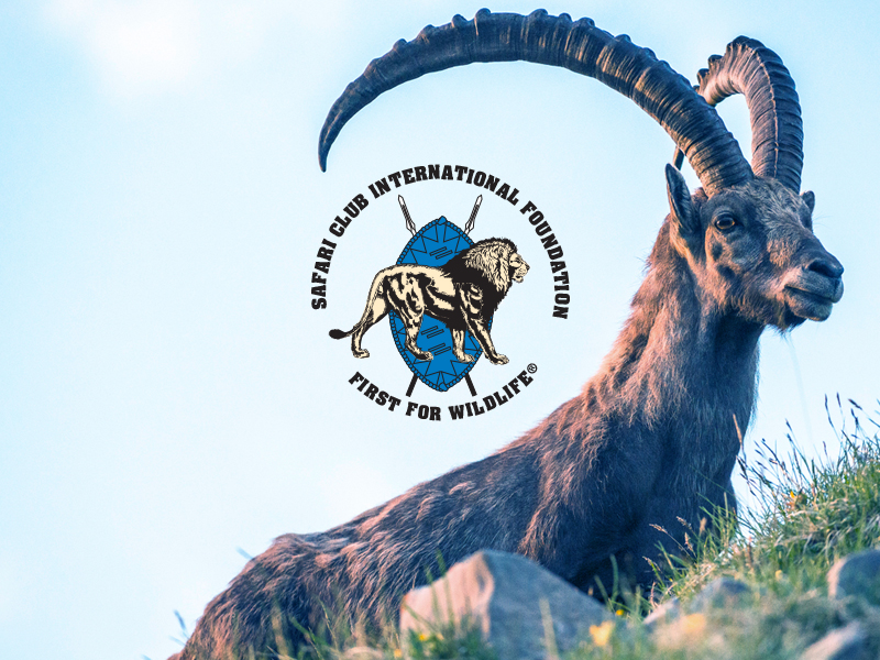 Safari Club International Foundation - Accelerated Charity ...